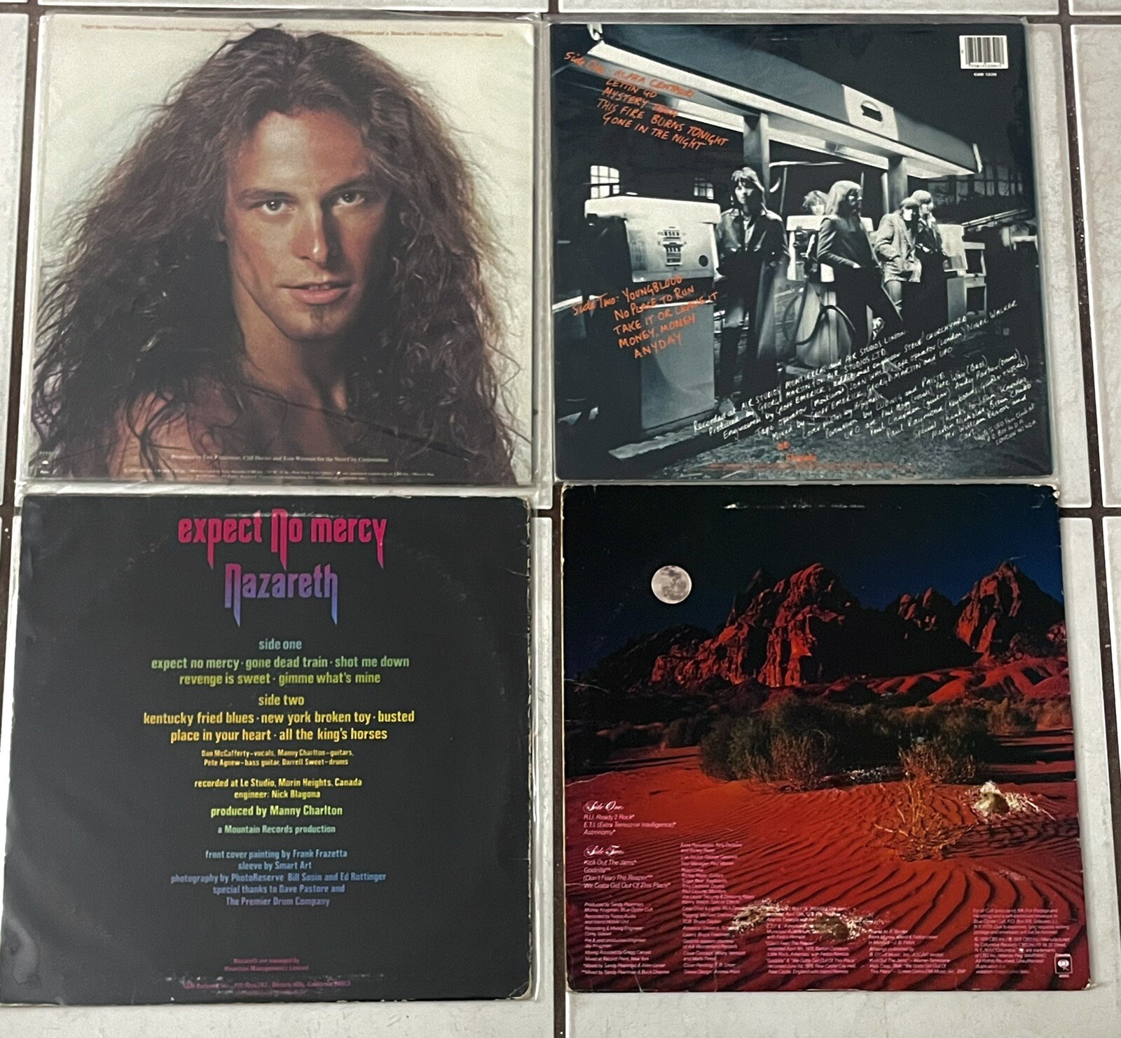 Bundle lot of 4 Classic Rock 70's Vinyl LPs - Nazareth/UFO/BOC/Ted ...