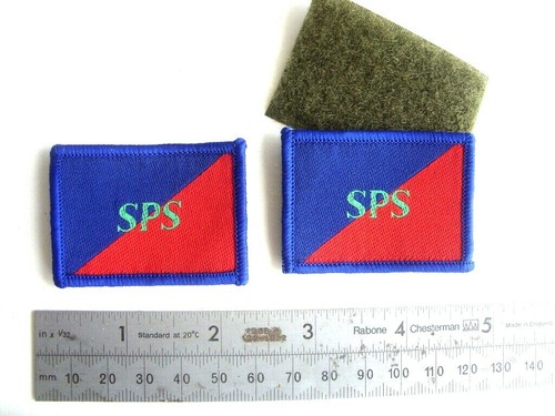 AGC SPS TRF ARM BADGE ADJUTANT GENERALS CORPS BRITISH ARMY UK DZ | eBay UK