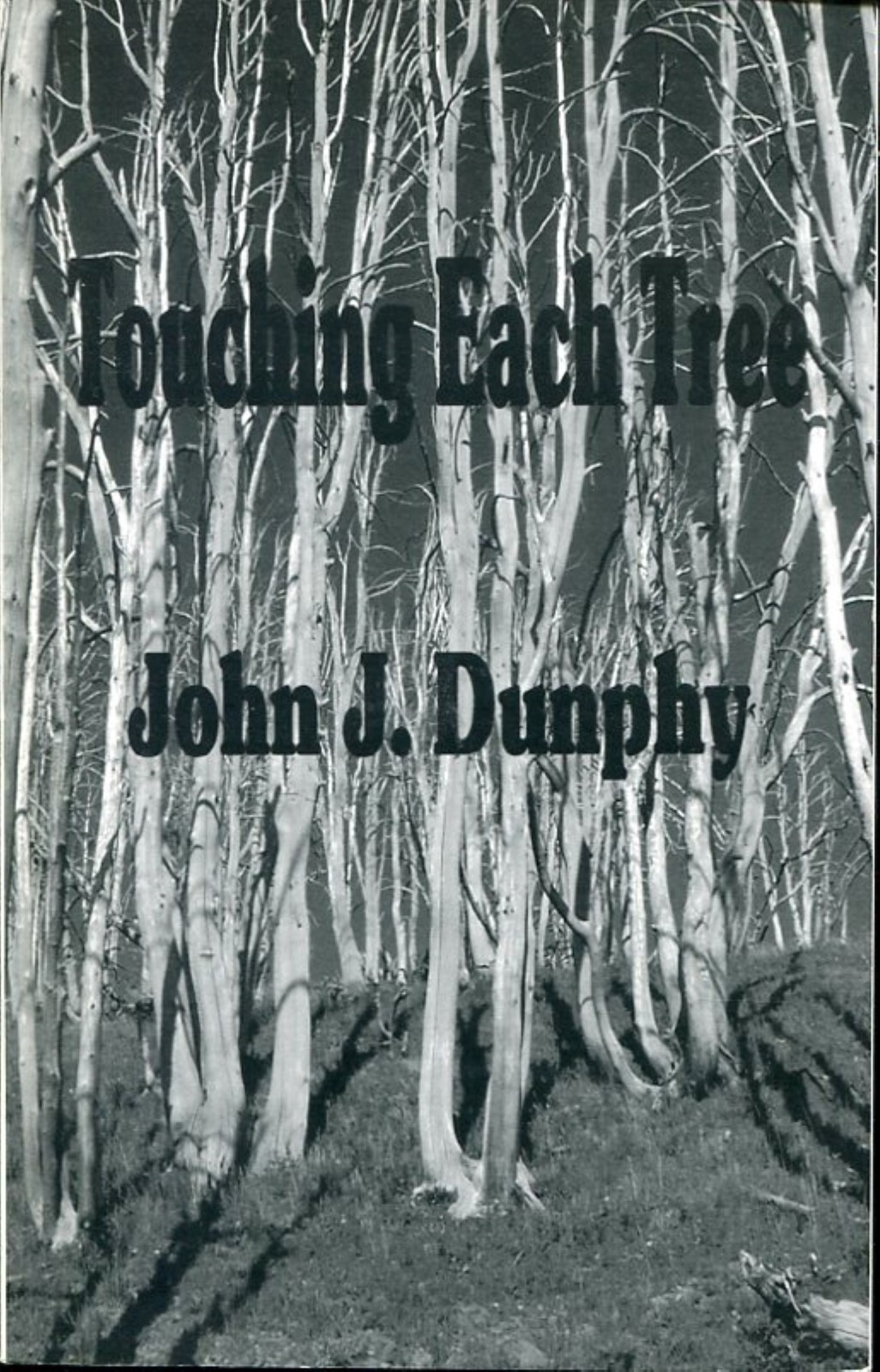 TOUCHING EACH TREE - JOHN J. DUNPHY - FREE FOOD PRESS - 2014 | eBay