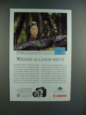 1994 Canon EOS-1 Camera Ad w/ Hawaiian Hawk! | eBay
