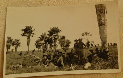 Vintage Antique Real Photo Postcard US Military Soldiers in Field Palm ...