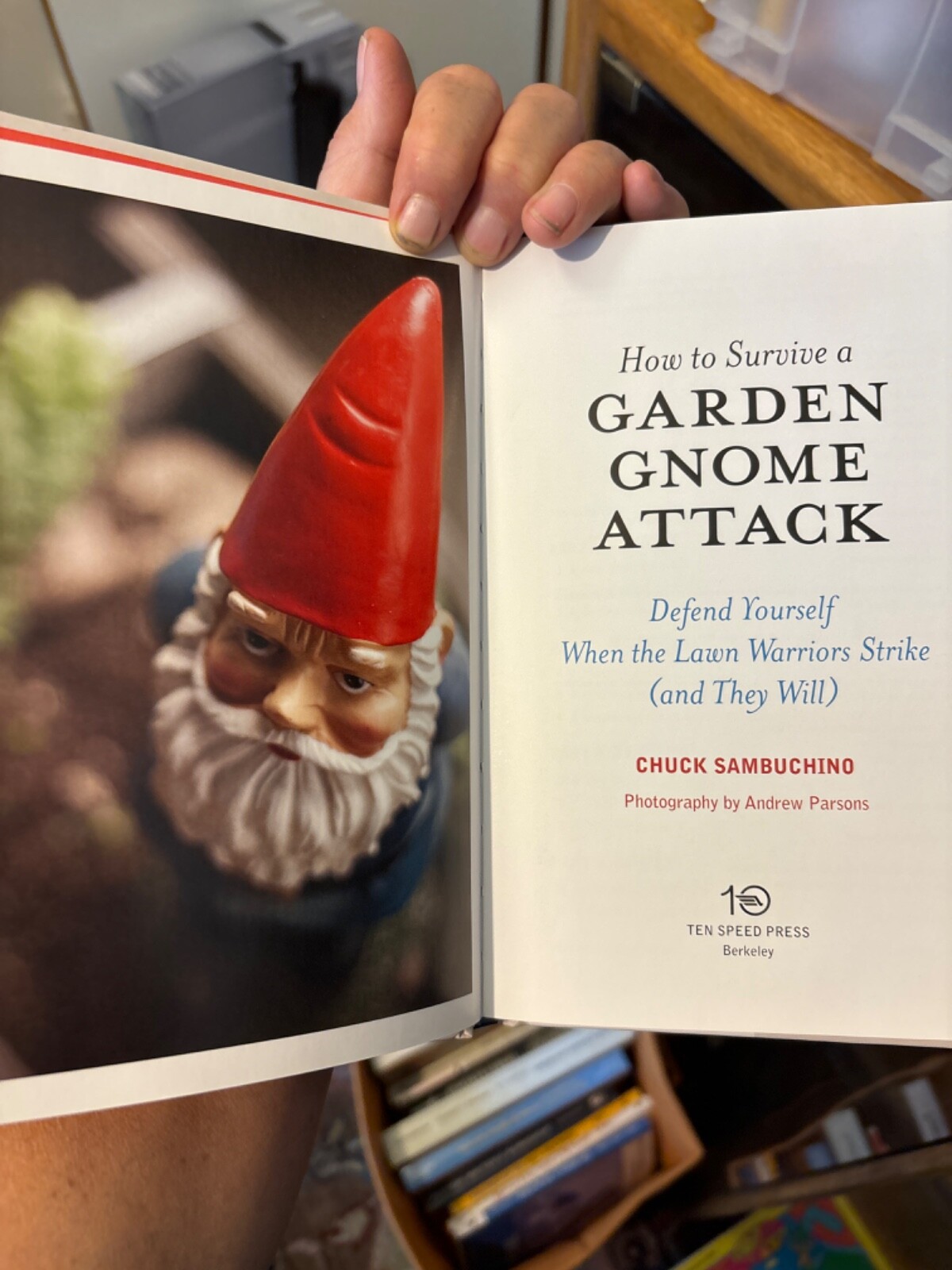 How to Survive a Garden Gnome Attack : Defend Yourself When the Lawn ...