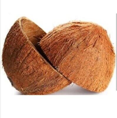 COCONUT SHELL HALVES Eco friendly Ceylon 100% Natural pure Best coconut ...