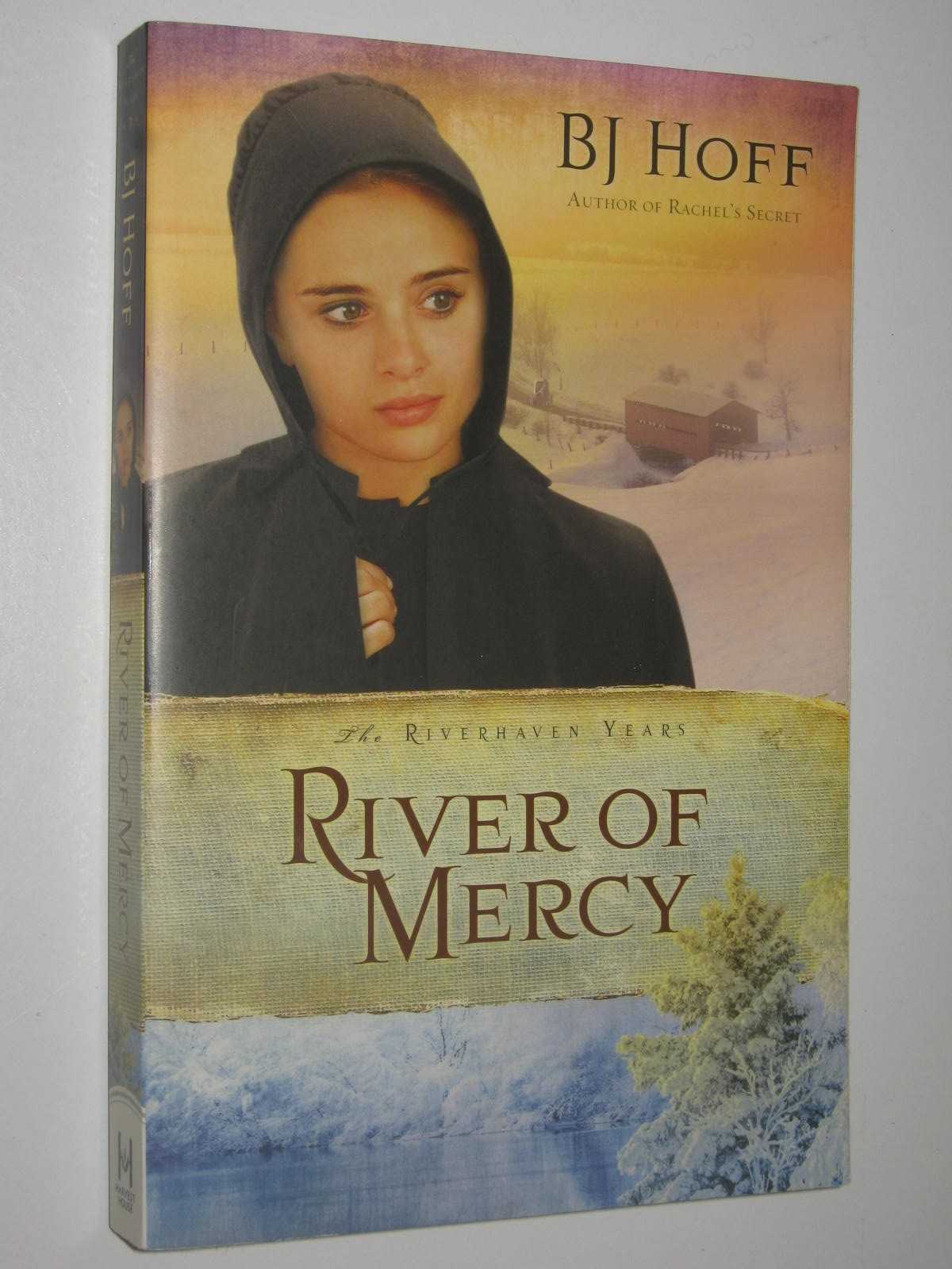 Riverhaven Years Trilogy by B J Hoff Large PB 9780736924207 | eBay