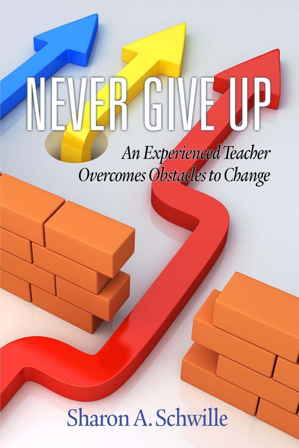 Never Give Up: An Experienced Teacher Overcomes Obstacles to Change by ...