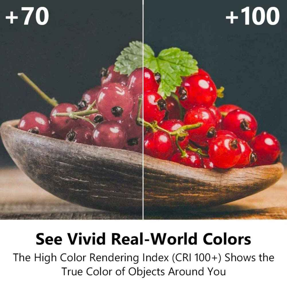 Halogen Bulbs G4 Capsule 5W 10W 20W 35W 50W Lamp Light 220v 12v | eBay UK