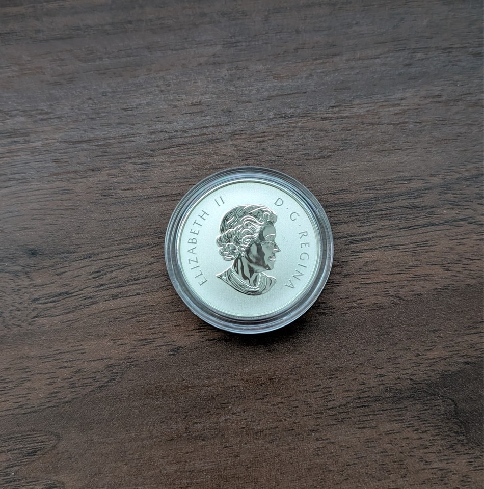 YEAR OF THE DOG 2018 1/2 oz FINE SILVER COIN CHINESE LUNAR COIN 15.87 ...