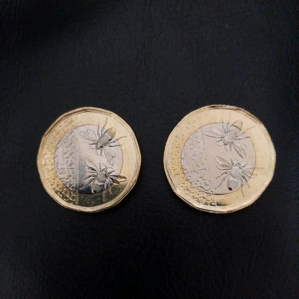 King Charles 2023 £1 Pound Bees Coin Mint Condition Free P+P 2 ...