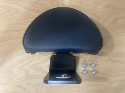 NEW Victory Vegas, Kingpin,Highball,Gunner Passenger Backrest 2875528 ...