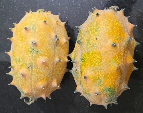 Kiwano, Horned Melon, Spiked Melon, Jelly Melon 30 Fresh Seeds | eBay