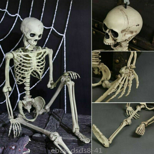 Oversized Poseable Full Life Size Human Skeleton Halloween Decoration ...