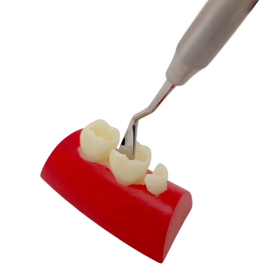 Dental Implant Gingival Retractor Gum Separator Surgical Tool for ...