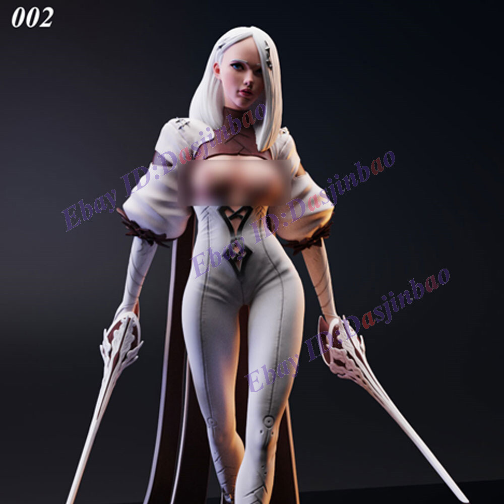 Mikeo Swordswoman 1/8 3D Print Model Kit Unpainted Unassembled 002 NSFW GK 23cm | eBay