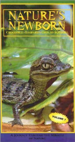 Nature's Newborn Crocodile,Leopard,Ground Squirrel, Volume 7, VHS | eBay
