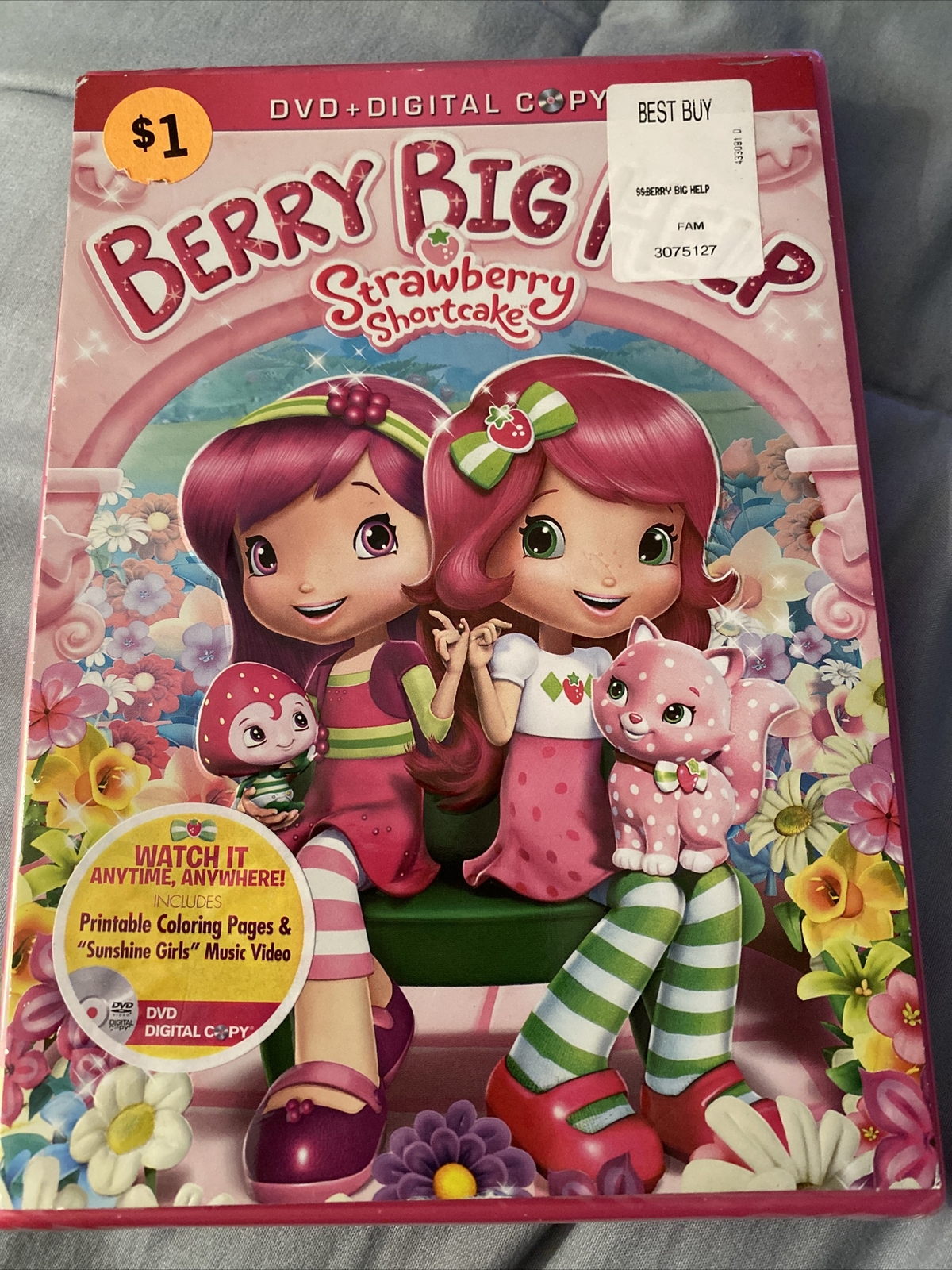 Strawberry Shortcake: Berry Big Help (DVD, 2014, Includes Digital Copy ...
