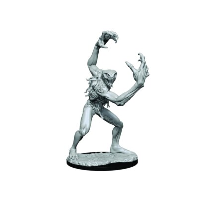 Critical Role Unpainted Minis: Aeorian Nullifier | eBay