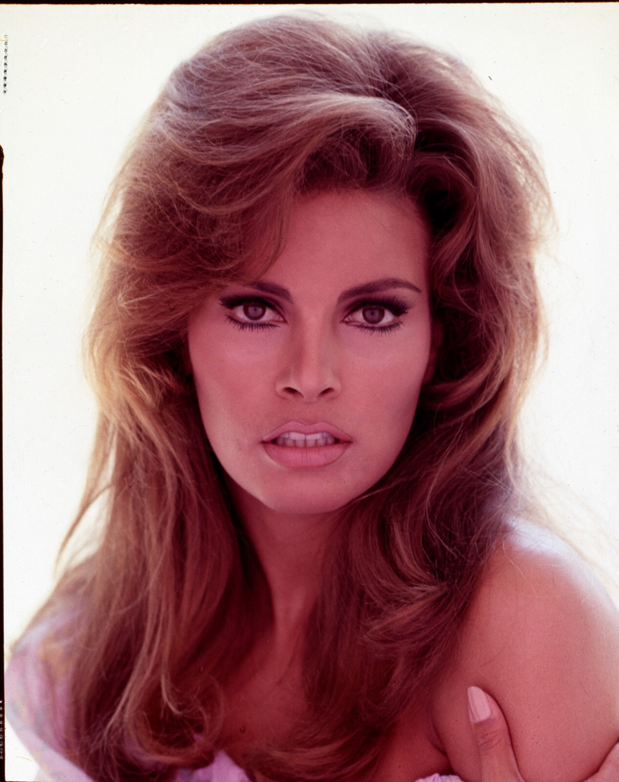 RAQUEL WELCH 8X10 PHOTO #Z306 | eBay