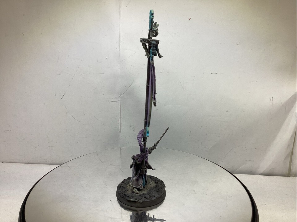 Warhammer AoS LUMINETH VANARI BANNERBLADE built & painted CM12419 | eBay