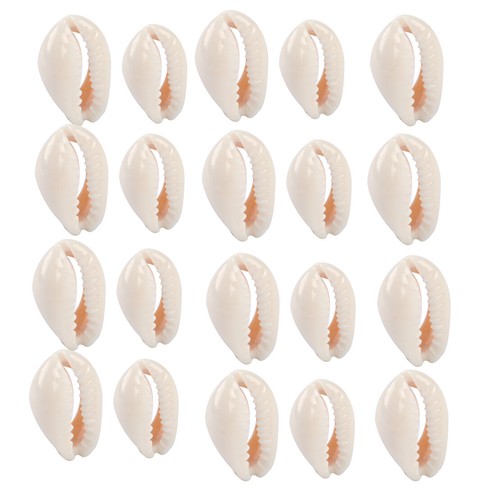 50stk Kauri Muscheln gebohrt kaurimuscheln cowry sea shell Geschenk 18 ...