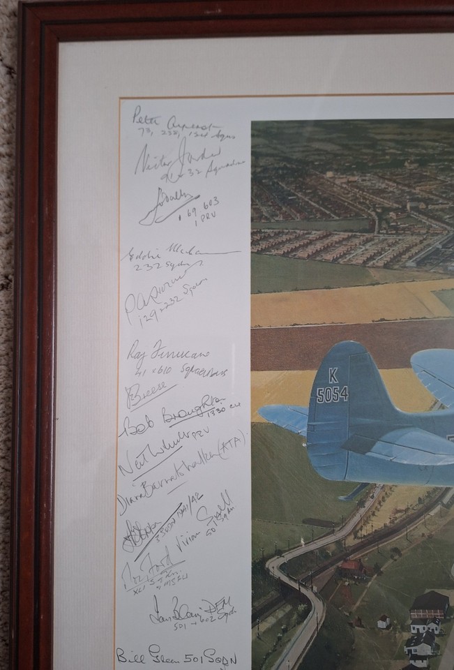 Mitchell's Legacy Spitfire Print Multi Signed By 45 ww2 Spitfire Pilots ...