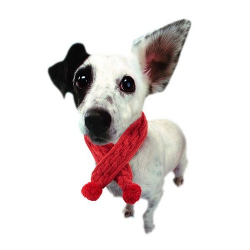 Red Dog Scarf with Pom Poms in Red by Pawslife | eBay