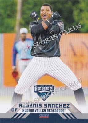 2022 Hudson Valley Renegades Aldenis Sanchez RC Rookie NY Yankees DR | eBay