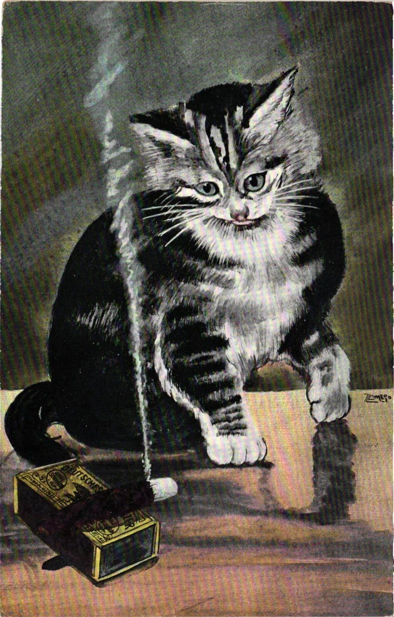 Cat Smoking Cigar
