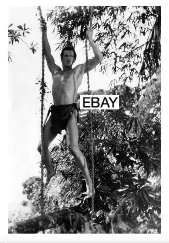 THE NEW ADVENTURES OF TARZAN 1935 MOVIE PHOTO BRUCE BENNETT E.R ...