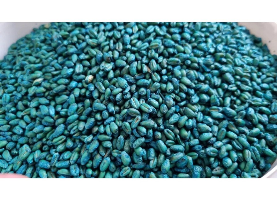 Rodent Poison Bait Killer Strong Rat Mouse Bait 100g Fast Free Shipping ...