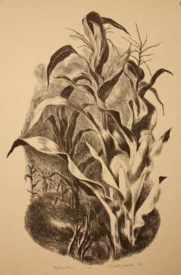 DEFORREST JUDD LIFETIME PRINT - SOUTHWEST PRINTS & MULTIPLES | eBay