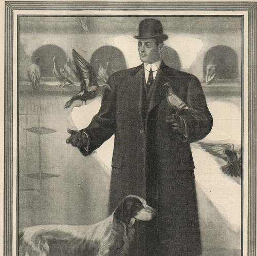 1908 Hart Schaffner Marx Clothing Handsome Man Pigeons Park English ...