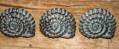 6 Cast Iron NAUTICAL Sea Shell Style Drawer Pull Barn Handle Door ...