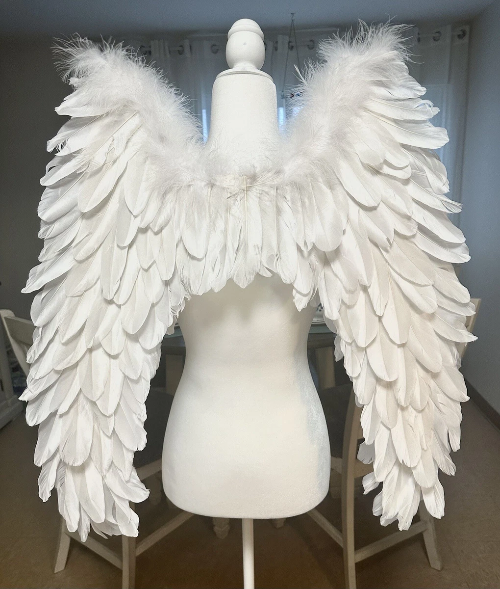 Angel Wing Feathers