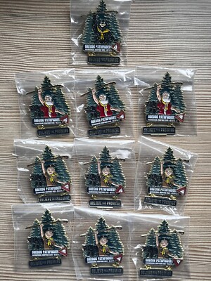 SDA Pathfinder Pin Lot (10) Believe The Promise - Oregon Conference | eBay