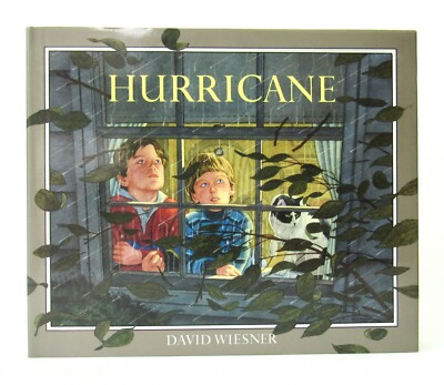 HURRICANE David Wiesner 1990 signed & inscribed HBDJ Fine/Fine L1 | eBay