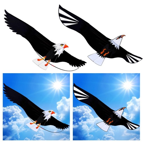 Flying Bird Eagle Kite Hawk Large Kite Single Line Huge Wingspan Garden ...