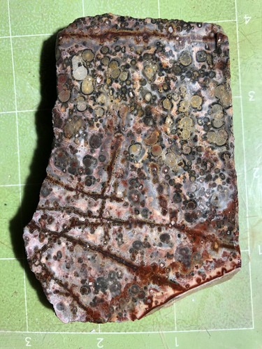 Thick Leopard Skin Jasper Rough Slab Lapidary Cabbing Mineral Rock ...