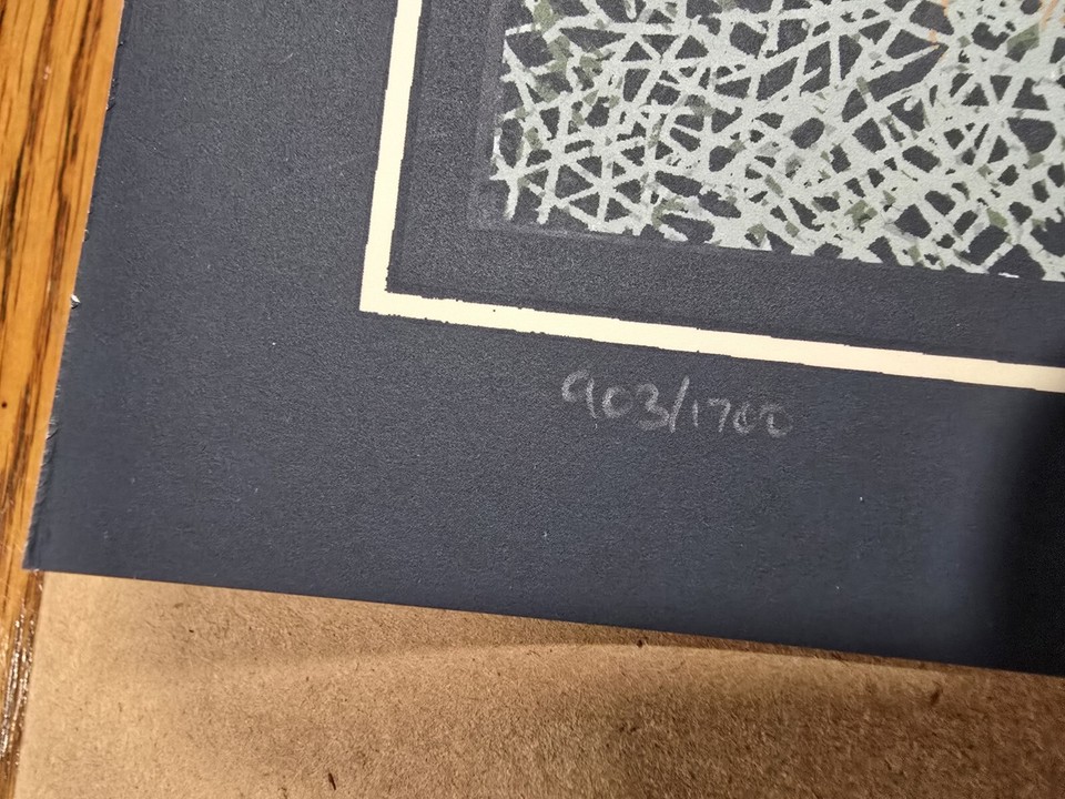 Dave Matthews Band Poster MSG N2 Luke Martin 11/23/24 New York DMB | eBay