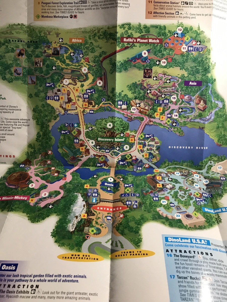 Disney World Animal Kingdom Map