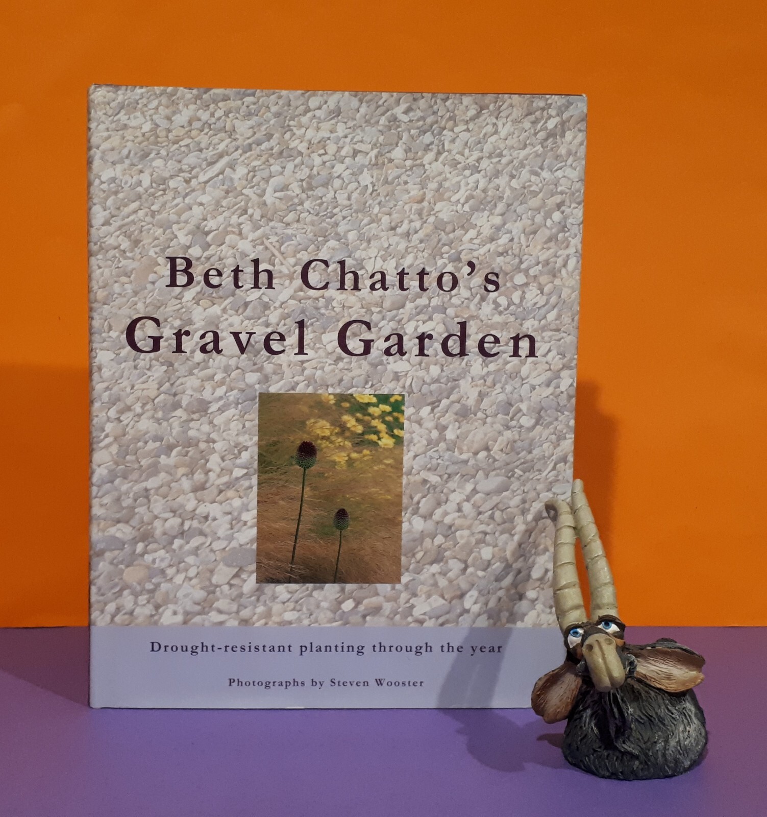 Beth Chatto's Gravel Garden/gardening/drought-resistant plants/Great ...