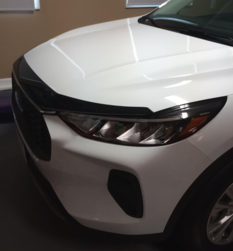 AVS AeroSkin Hood Protector Bug Shield Deflector for 2023-2025 Ford ...