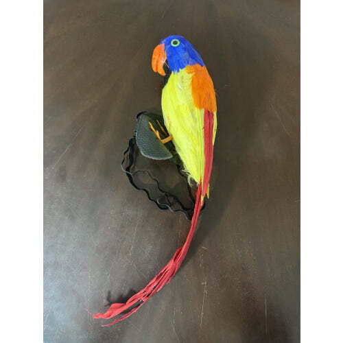 Pirate Parrot Shoulder