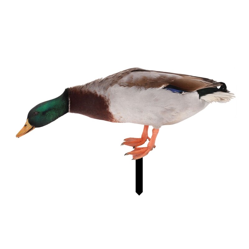 Ducks Yard Signs Acrylic Garden Scare Silhouette Stake for Garden | eBay