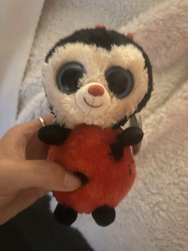 2013 Boo #120 NWT RETIRED TY Beanie Boos BUGSY THE LADY BUG 6" Solid ...