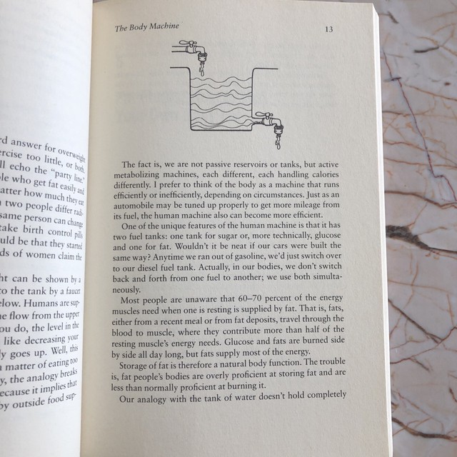 The New Fit or Fat by Covert Bailey (1991, Trade Paperback, Enlarged ...