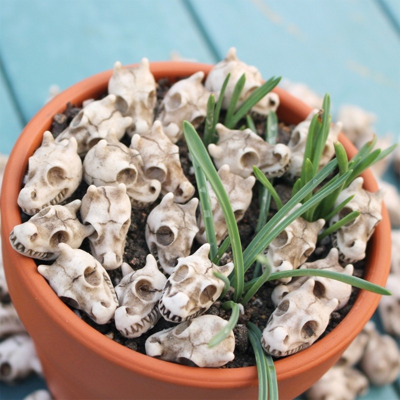 Gothic Skull Plant Pot Embellishments Craft Supplies for Event Styling ...