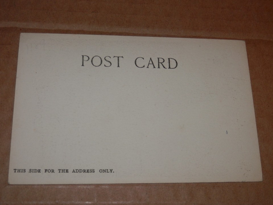 BOULDER CO - 1901-1907 ERA UNUSED POSTCARD - PERFECT TREE - BOULDER ...