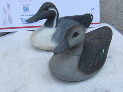 JC Higgens Life Like Pair Of Glass Eyed Pintail Decoys Hen & Drake ...