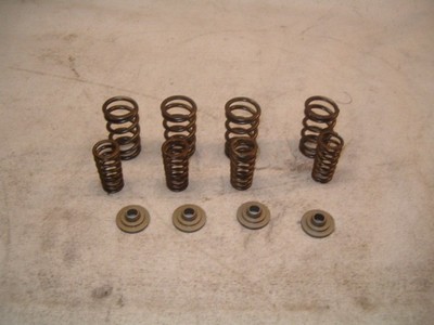 Eibach 'EVS' Valve Spring Kit for Harley Big Twins-NEW! | eBay