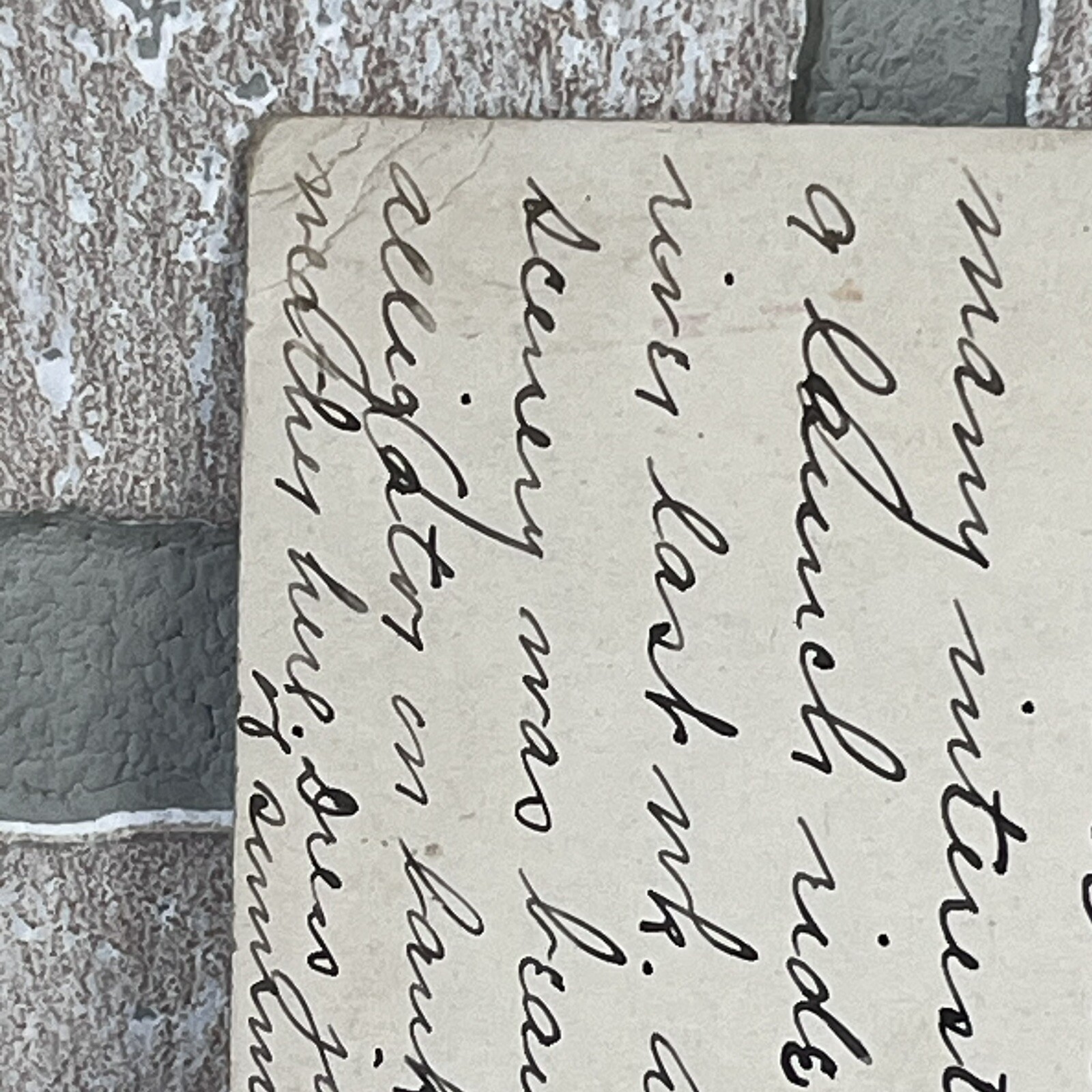 Vintage Florida Grapefruit Tree Postcard Posted 1915 FL Grape Fruit | eBay